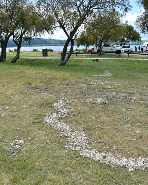 Welcome | Tuwharetoa Maori Trust Board