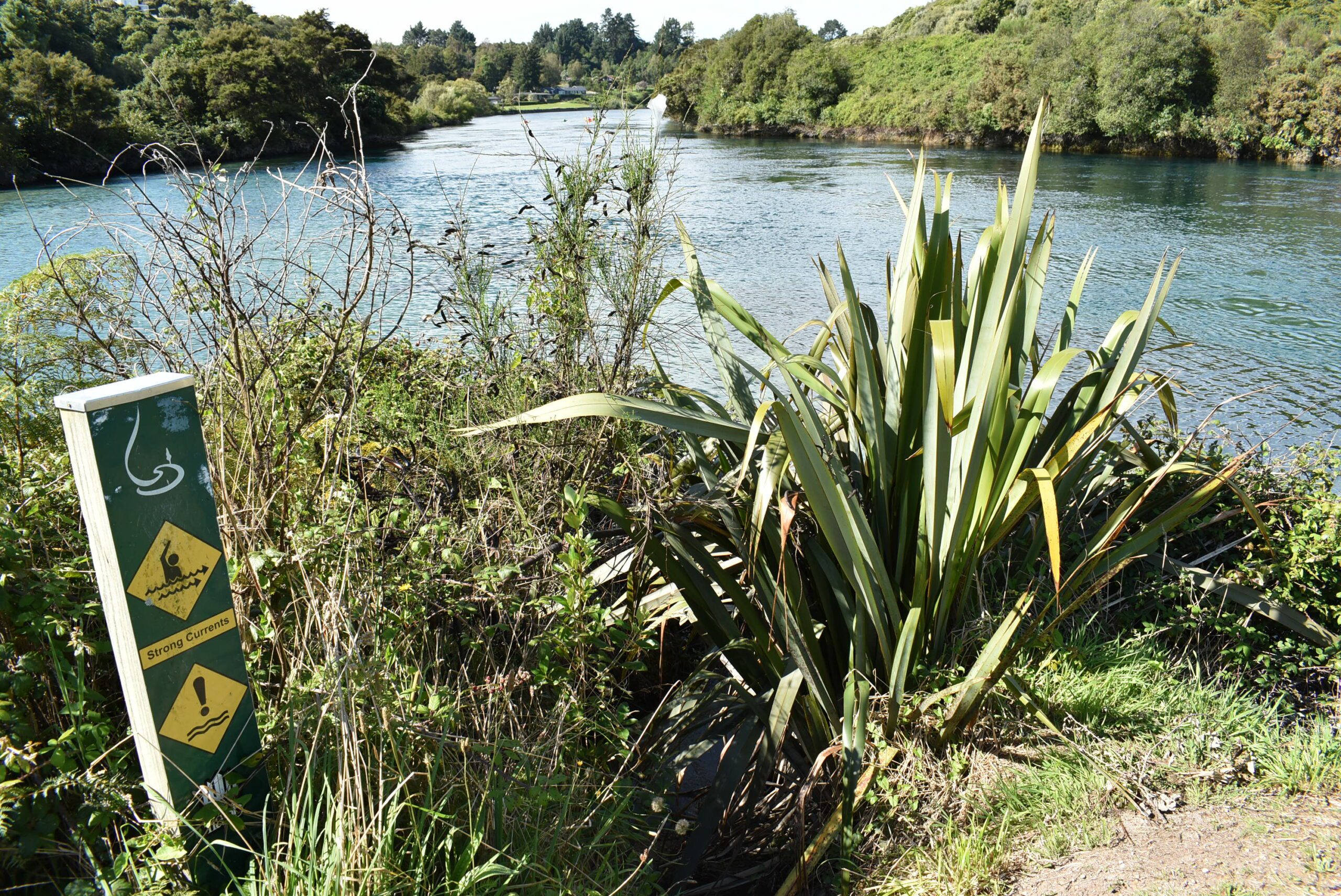 Taupō Moana and Waikato Awa rise to new heights | Tuwharetoa Maori ...