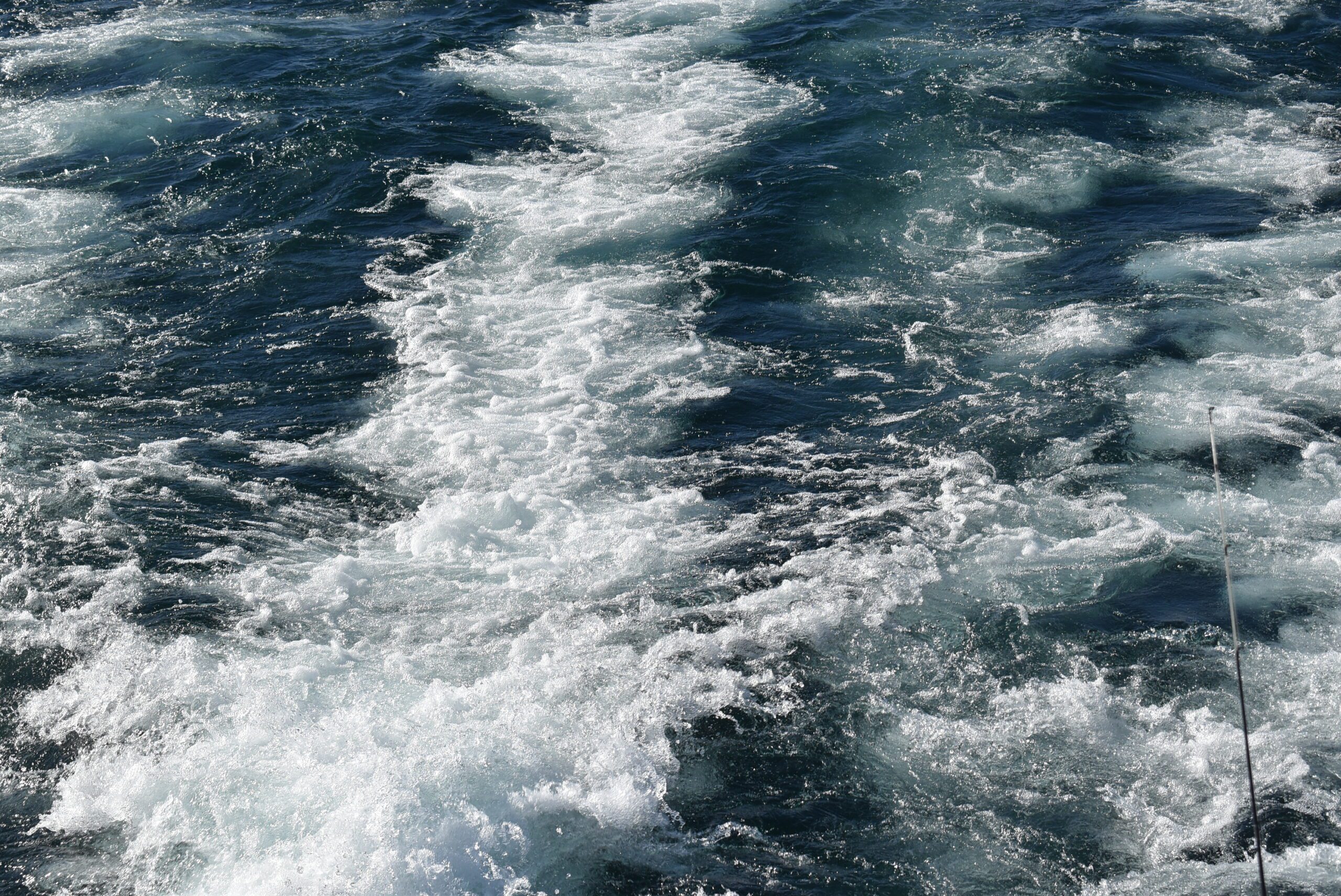 Te Pou Taiao hui at the Taupō Yacht Club | Tuwharetoa Maori Trust Board