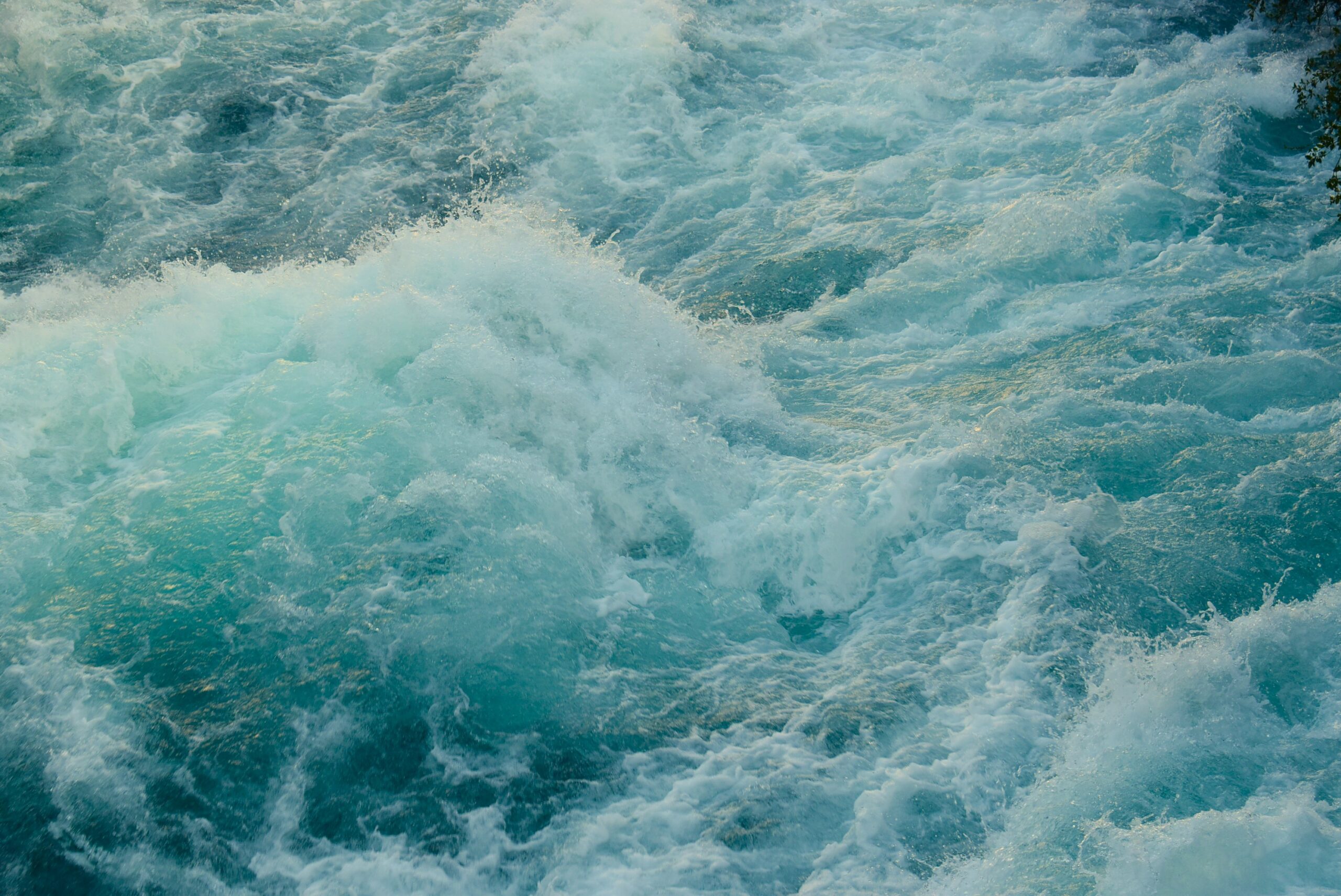 Join Us This Summer in Protecting Taupō Moana and Waikato Awa ...