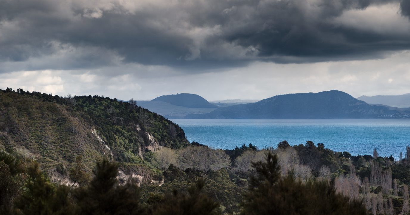 Partnership with Chris Jolly | Tuwharetoa Maori Trust Board