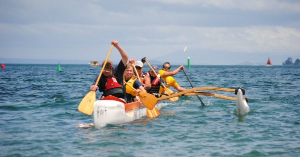 Certificación del COPNIA | Tuwharetoa Maori Trust Board