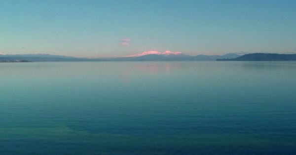 termo lio amil | Tuwharetoa Maori Trust Board